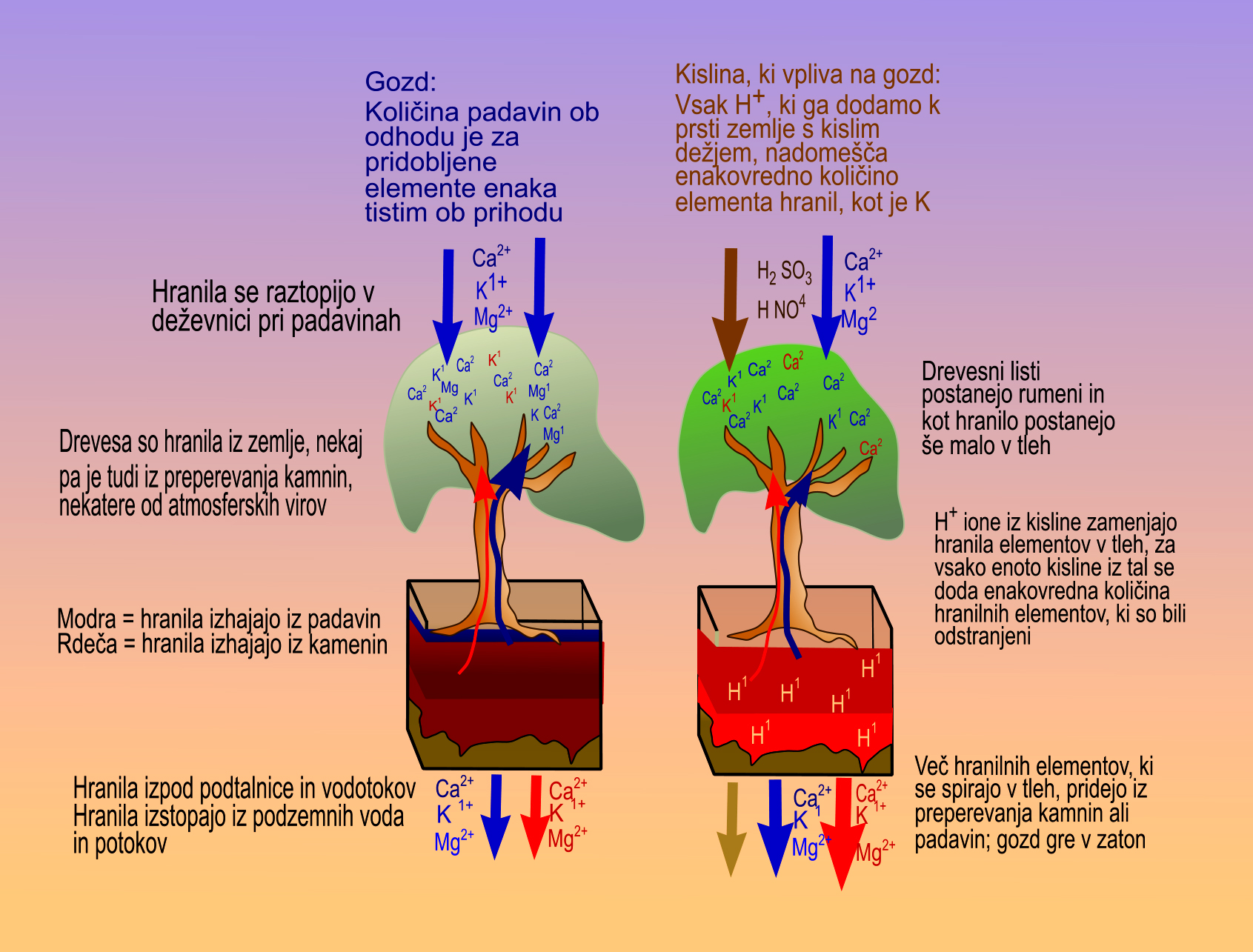 Kisel dež in pH lestvica : Revija Instalater